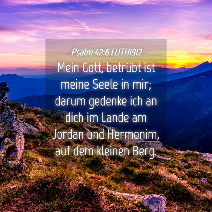 Psalm 42:6 LUTH1912 - Mein Gott, betrübt ist meine Seele in mir; darum