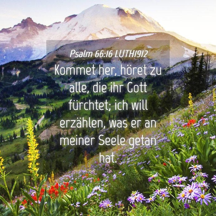 Psalm 66:16 LUTH1912 - Kommet her, höret zu alle, die ihr Gott