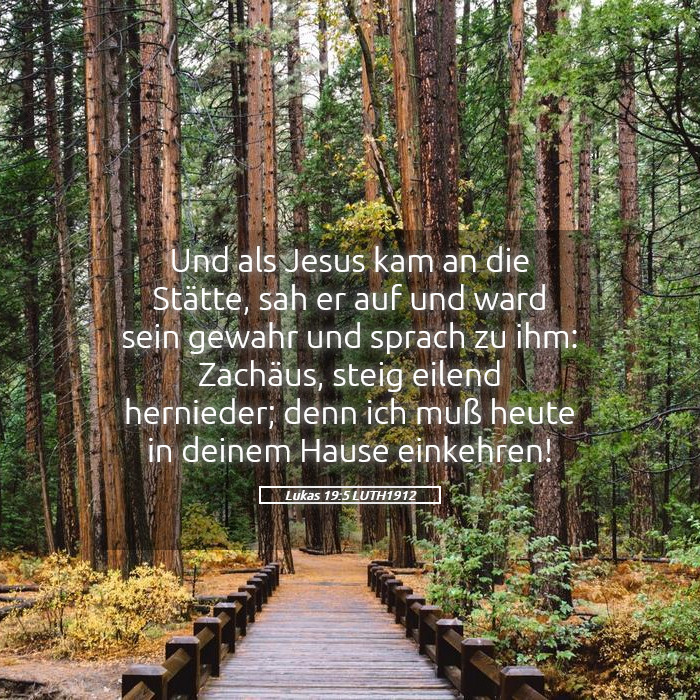 Lukas 19:5 LUTH1912 - Und als Jesus kam an die Stätte, sah er auf und